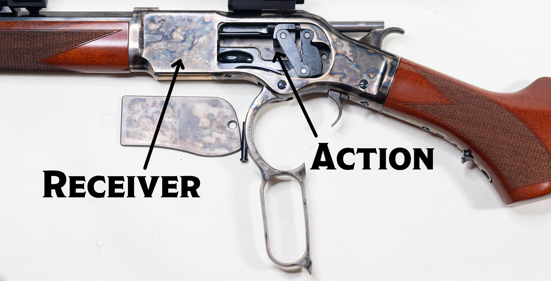 Where the Action Is - Hi-Lux Optics