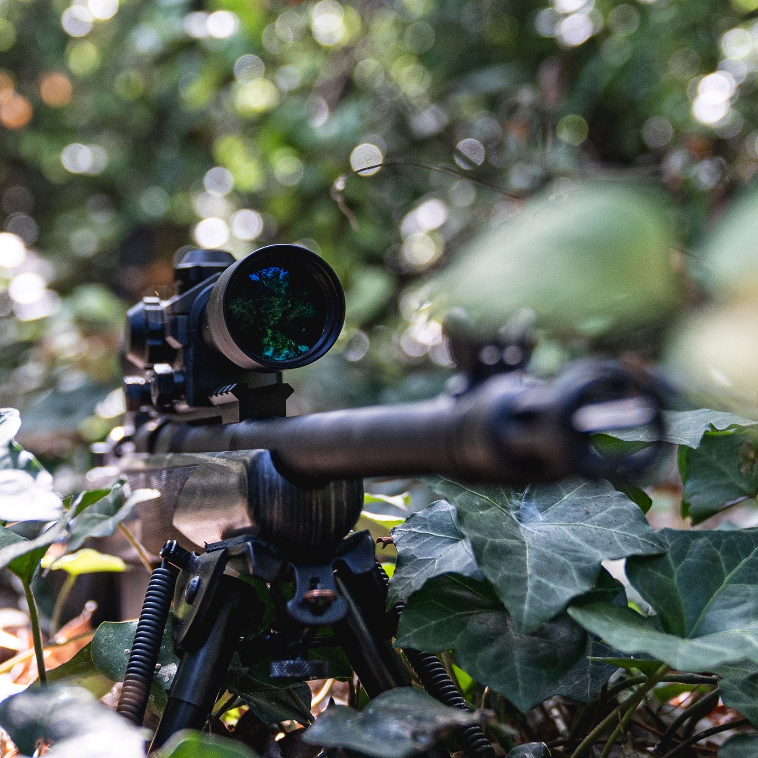 Hunting Rifle Scopes - Hi-Lux Optics